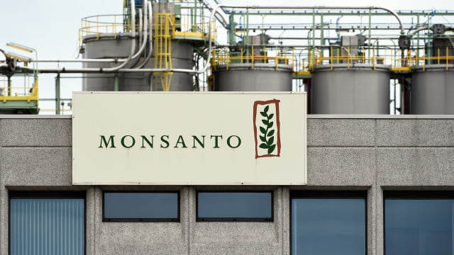 Court Rules Against Monsanto, Allows California To Put Cancer Warning ...