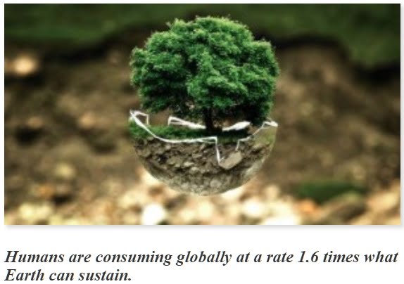 Ecological Civilization and the New Enlightenment – OneEarth.University